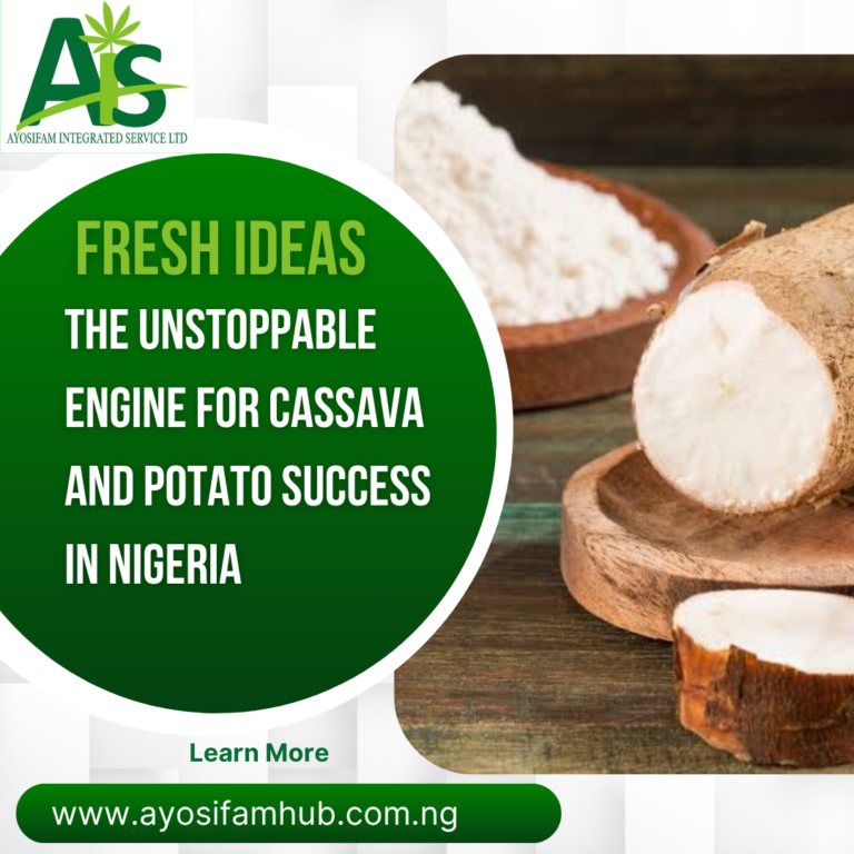 Fresh Ideas: The Unstoppable Engine for Cassava and Potato Success in ...