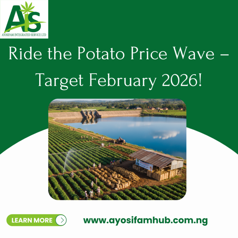 AyosifamHub: Ride the Potato Price Wave – Target February 2026 ...